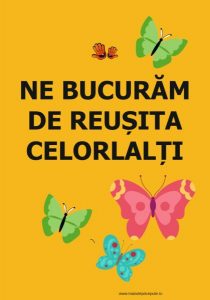Clasa fluturașilor - regulile clasei - Decor clasa - Manute Pricepute