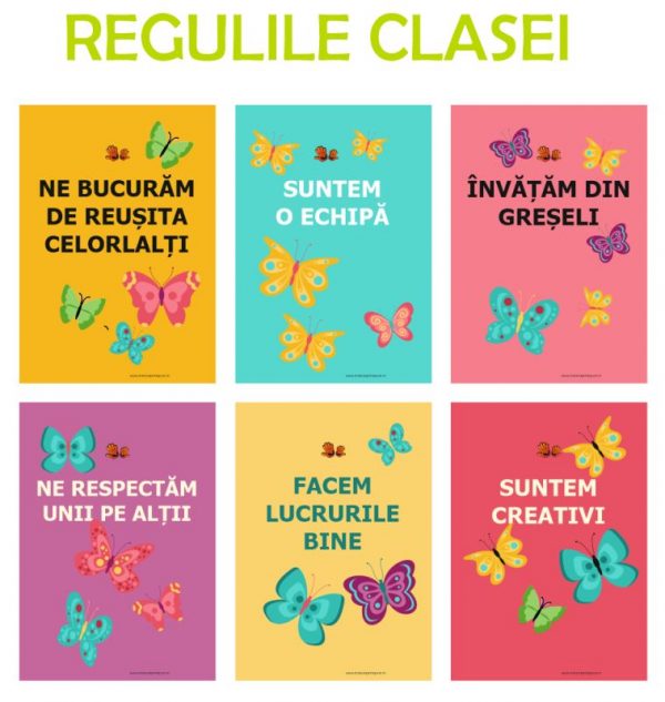 Clasa fluturașilor - regulile clasei - Decor clasa - Manute Pricepute