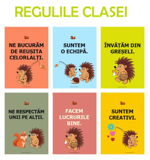 Clasa aricilor - regulile clasei - Decor clasa - Manute Pricepute